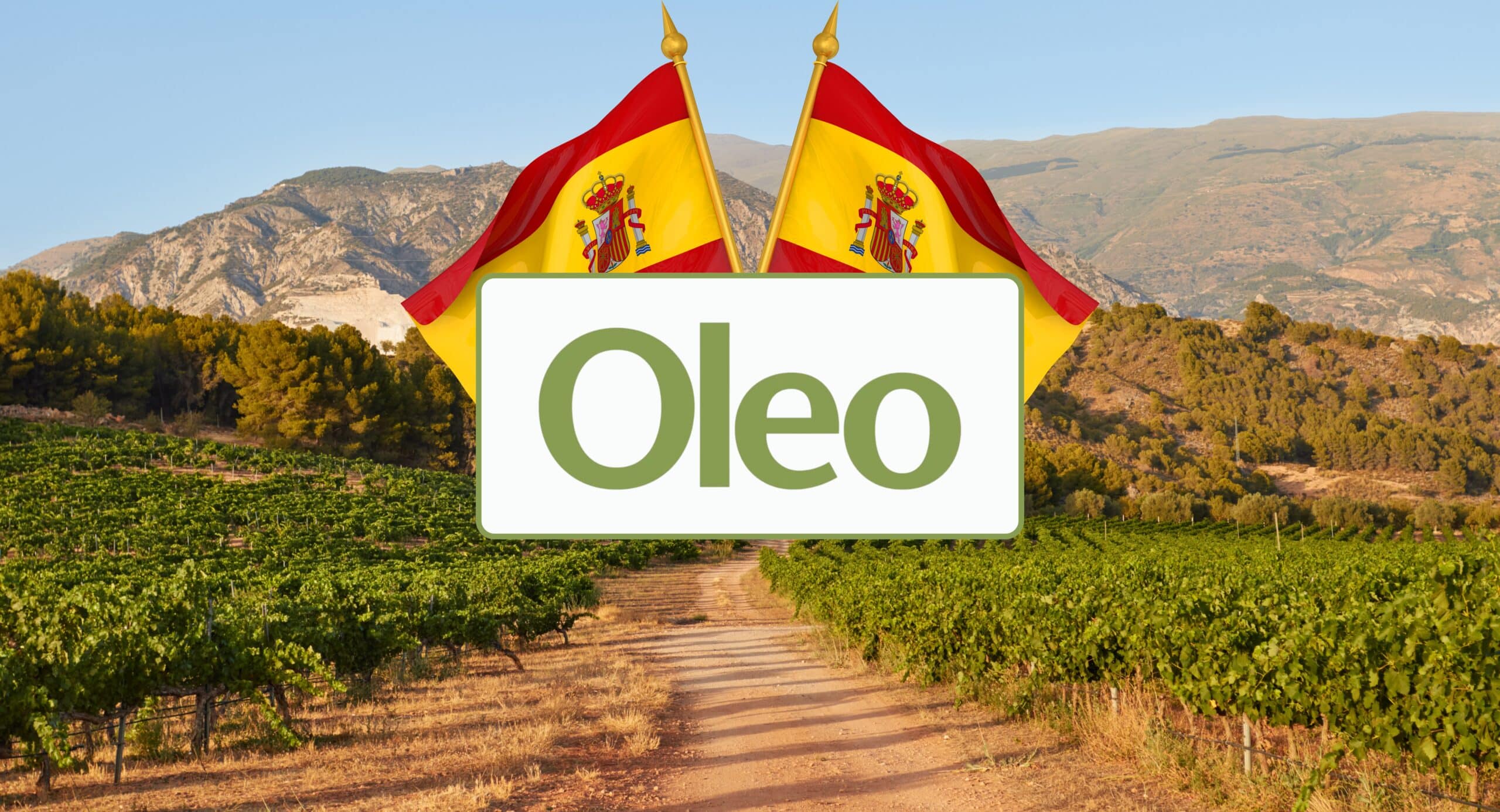 Spain Faces the Biogas Challenge: Multi-Million-Dollar Investment and a ...