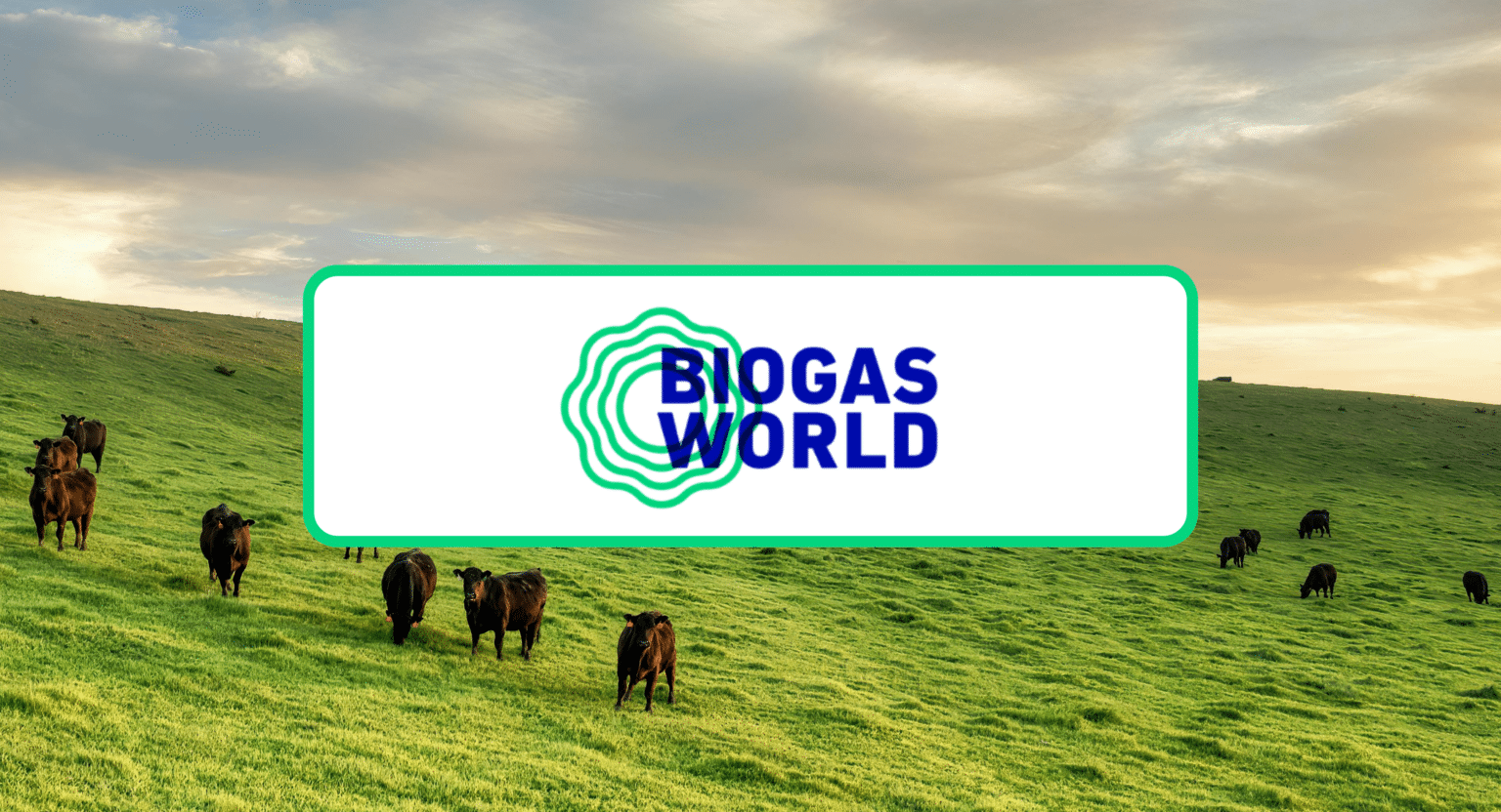BiogasWorld Launches Comprehensive USA RNG Report - Biogas Community